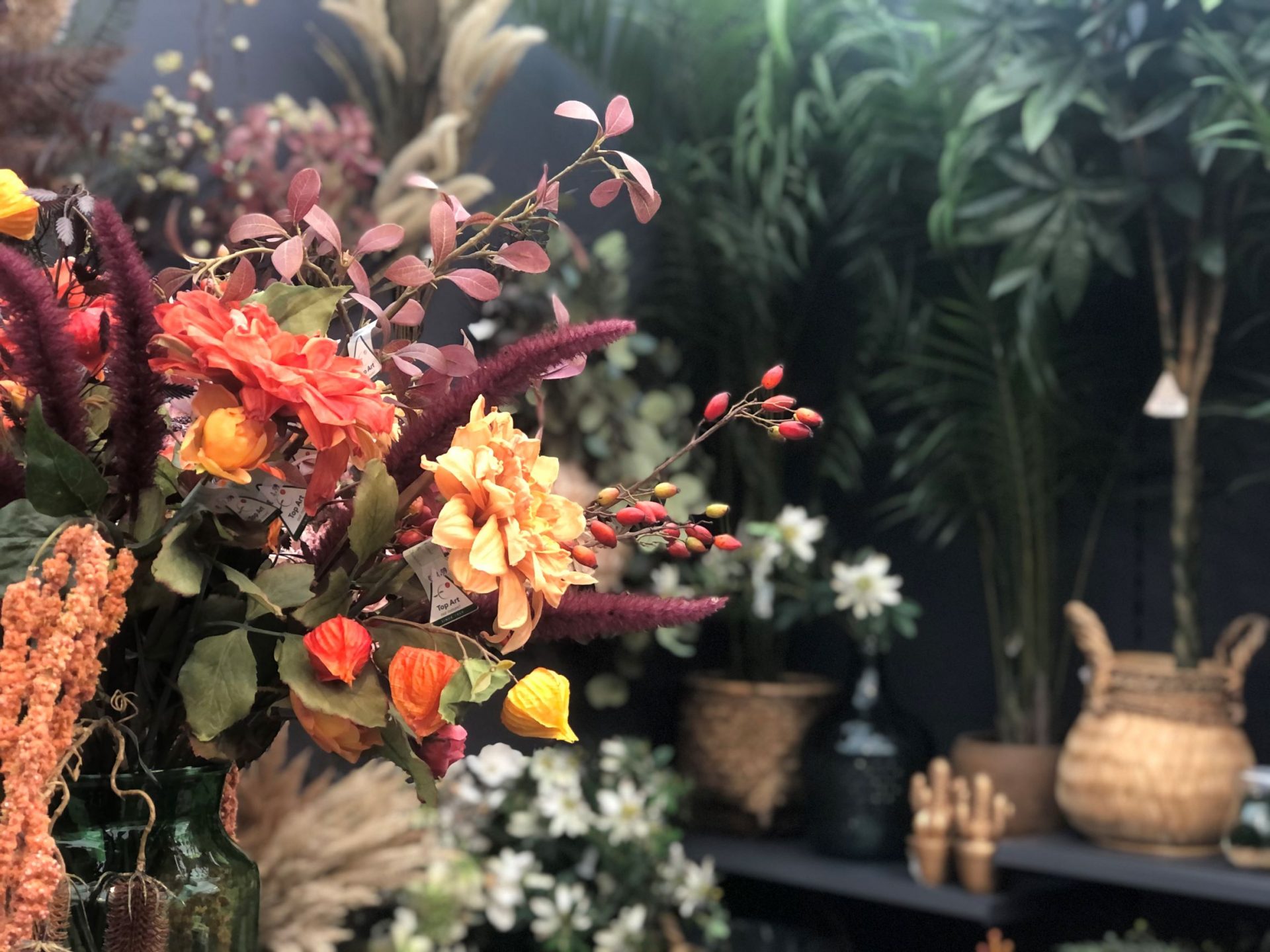 Advies op maat voor jouw tuin of huis | Tuincentrum Peer