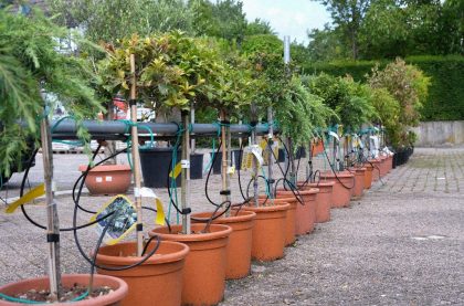 Alles voor jouw tuin, gazon of terras | Tuincentrum Peer